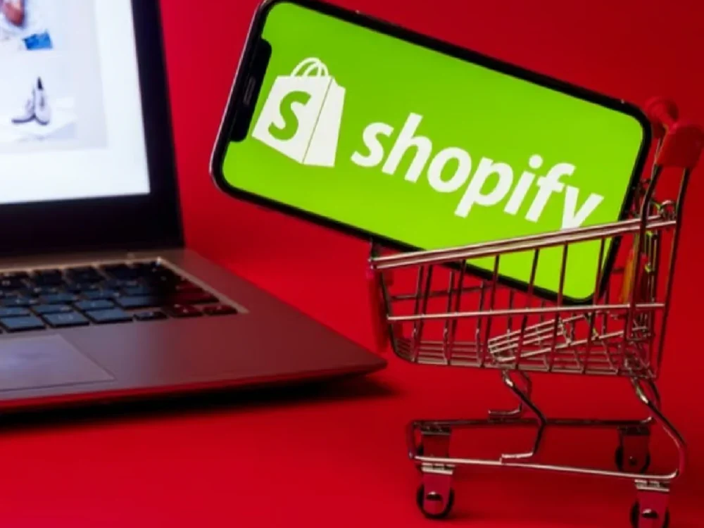 Profitable Shopify store, website, and dropshipping store | Upwork