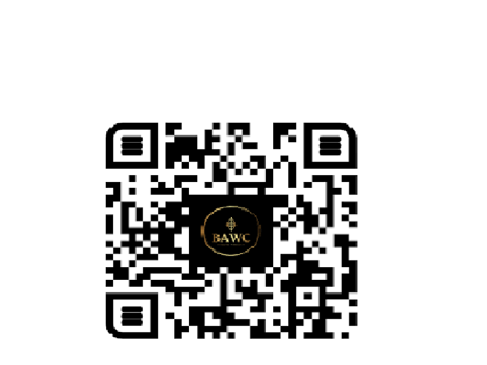 Professional QR Code Generator with Customization Options | Upwork