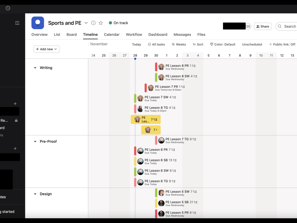 Set up of Asana Workspace with custom project workflow and consulting ...