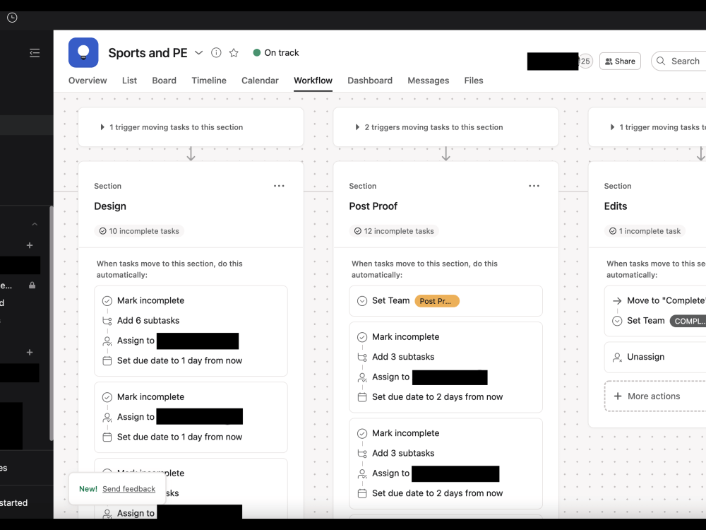 Set up of Asana Workspace with custom project workflow and consulting ...