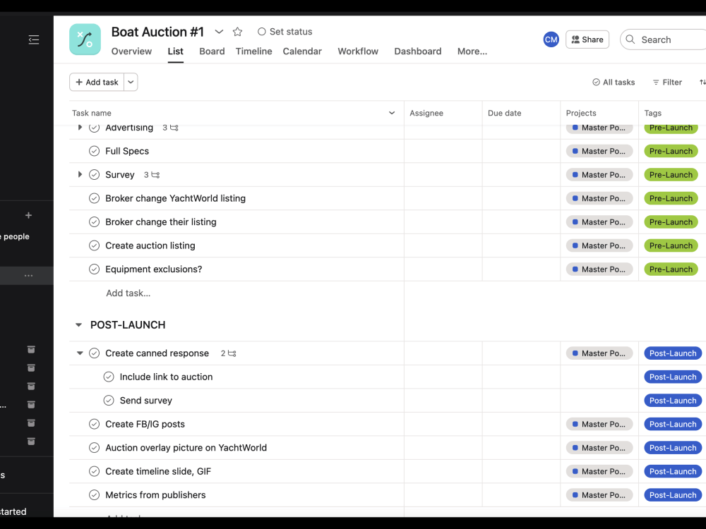 Set up of Asana Workspace with custom project workflow and consulting ...