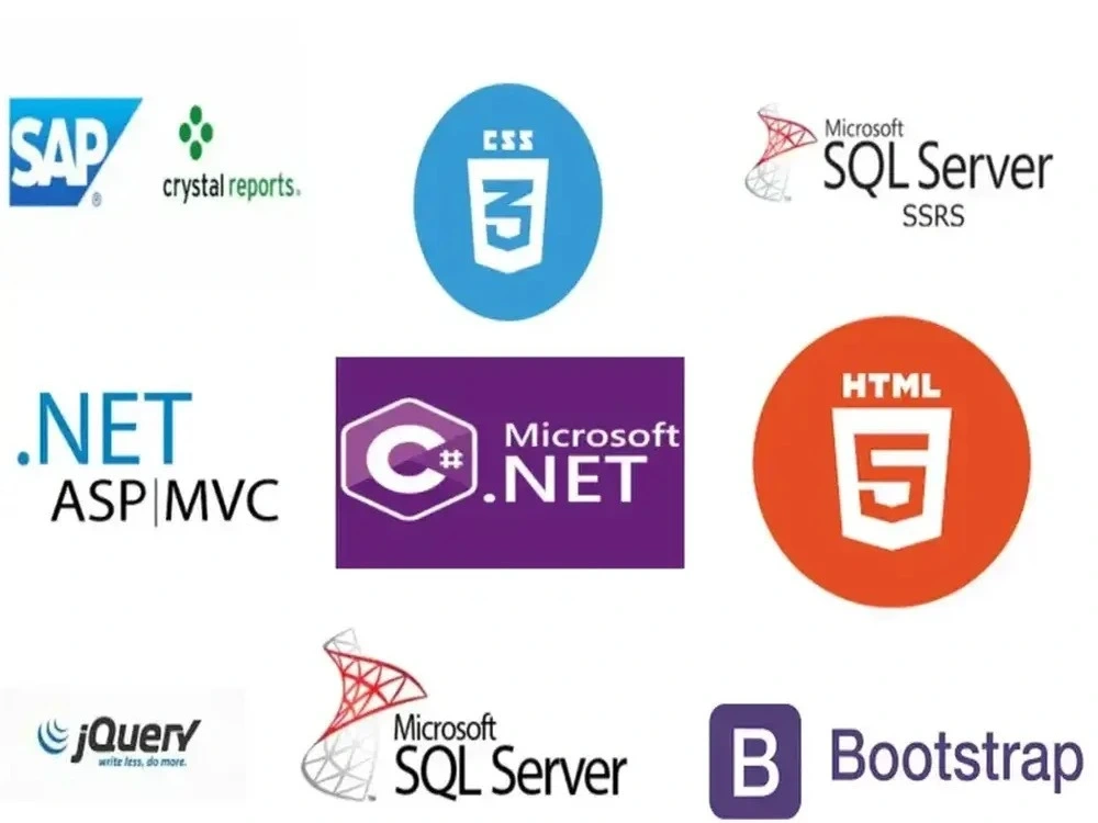 An expert developer for your ASP.NET | .NET MVC | .NET Core | C# developer | Upwork
