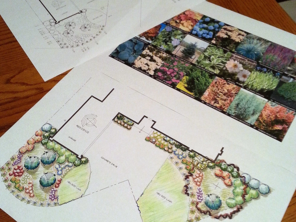 A beautiful and functional water-wise landscape design! | Upwork