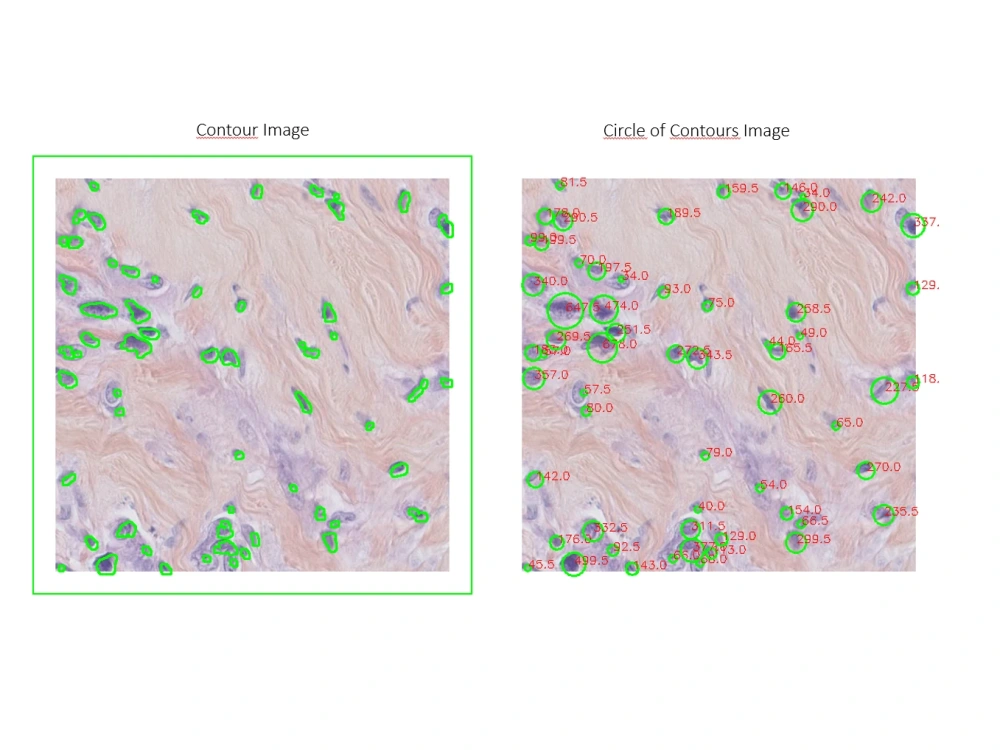An ML algorithm for 2D RGB images with a detailed and a concise report ...