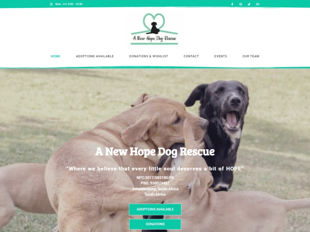 A dynamic, high-functioning and high-performance web application | Upwork