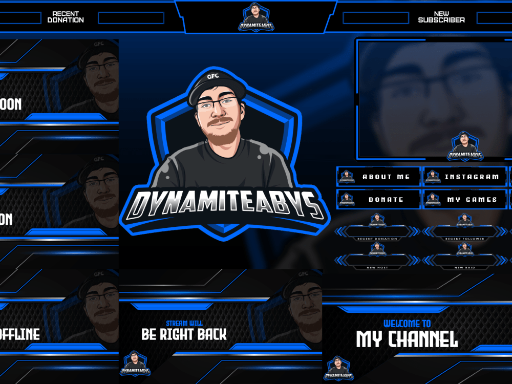 A professional twitch overlay design | Upwork