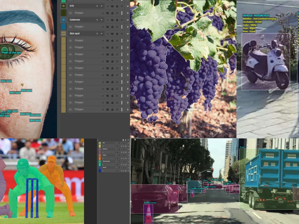 High-Quality Image Annotation Services for AI Models at low cost. | Upwork