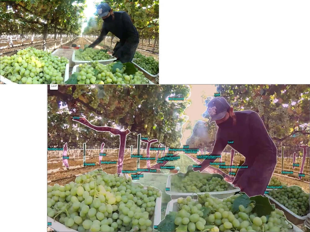 High-Quality Image Annotation Services for AI Models at low cost. | Upwork