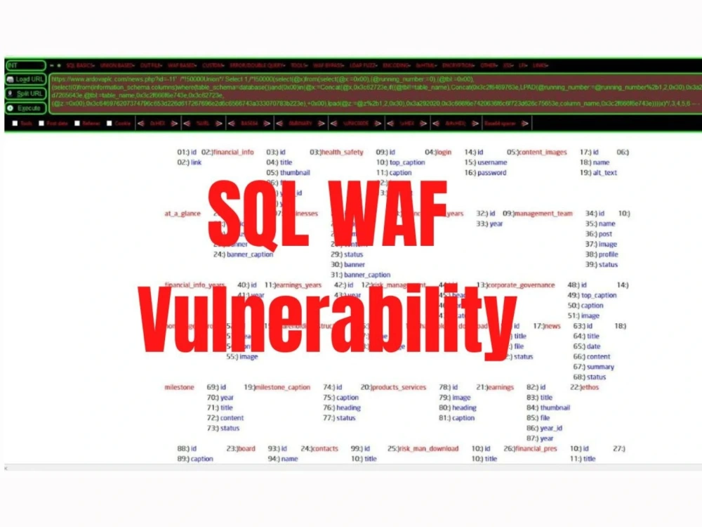 Penetration test, vulnerability of your website with professional ...