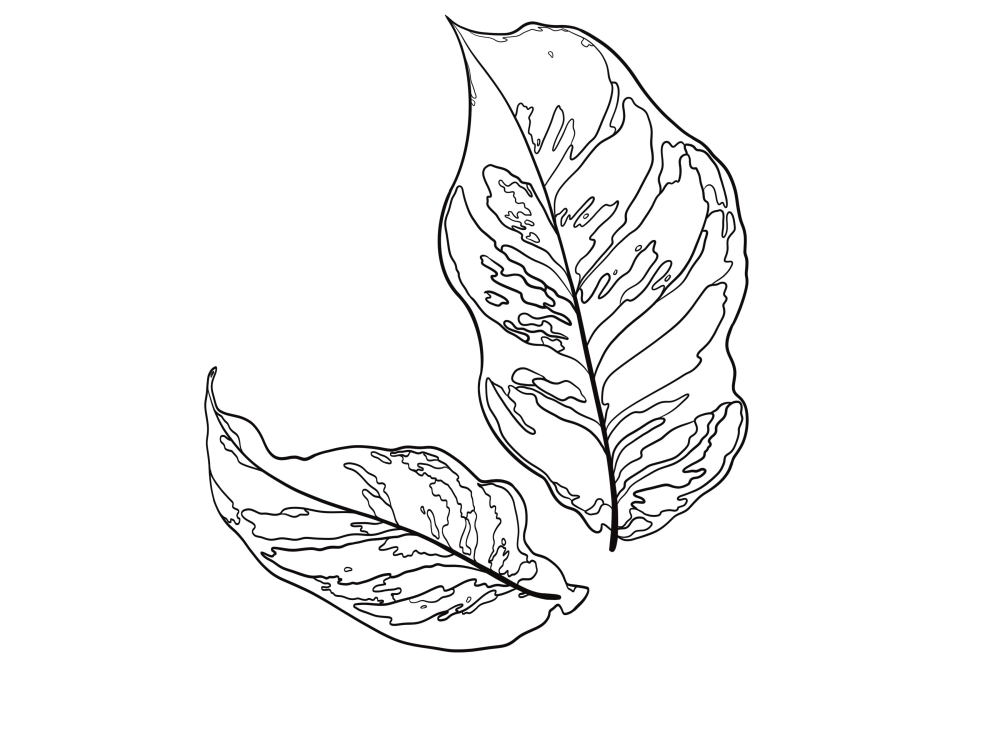 Beautiful line art drawings | Upwork