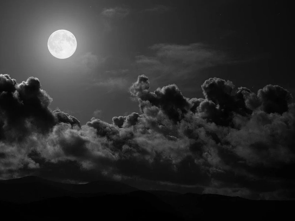 I can color your old colorless photos for you. | Upwork