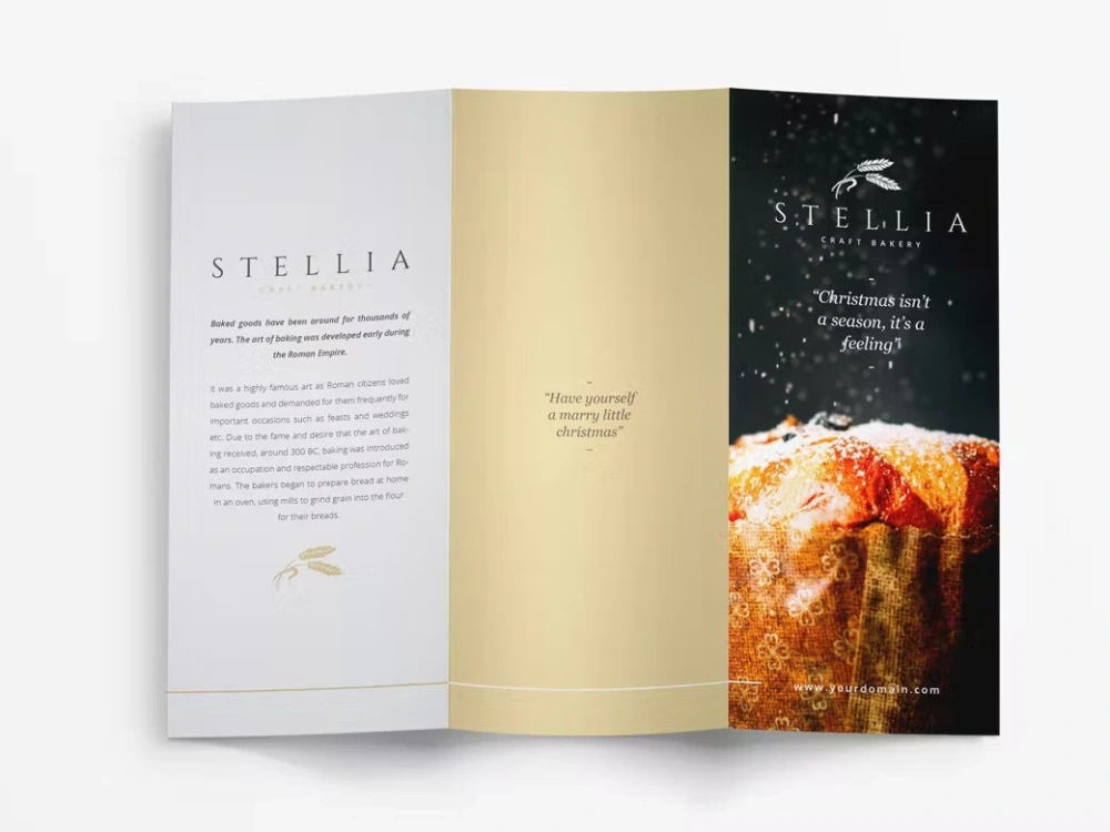 A professional tri-fold brochure design | Upwork