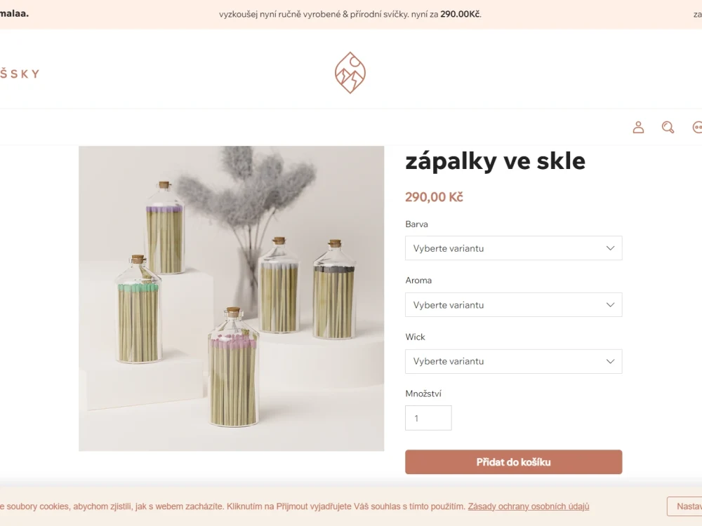 Wix website design with easy and clean interface and smooth user ...