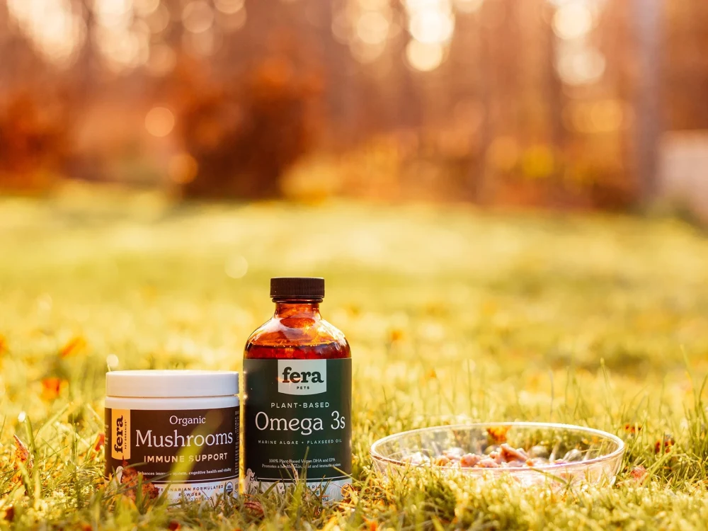 High-quality product photography for your business | Upwork