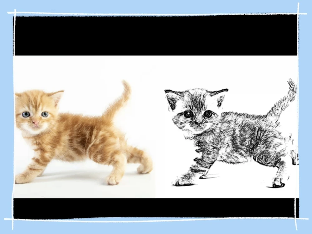 A detailed vector line art | Upwork