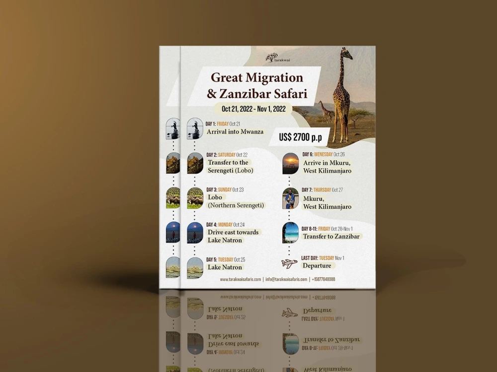 Appealing flyers and brochures | Upwork