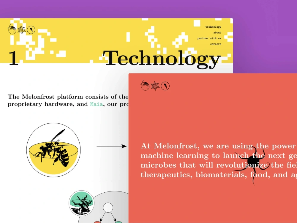 Expert Webflow support from a Webflow Enterprise Partner | Upwork