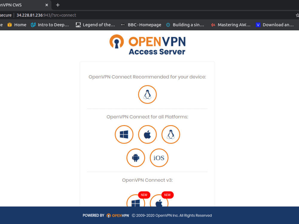 OpenVPN along with the basic UI to manage Users and HTTPS logging | Upwork