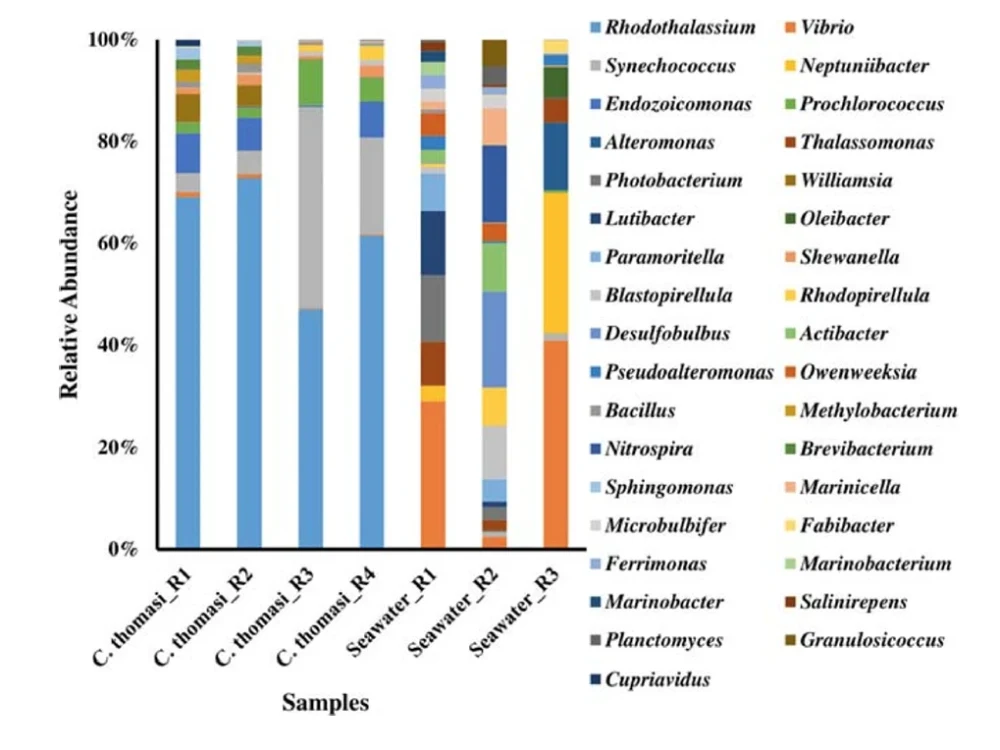 A genome, microbiome, metabolome analysis, statistics and publishable ...
