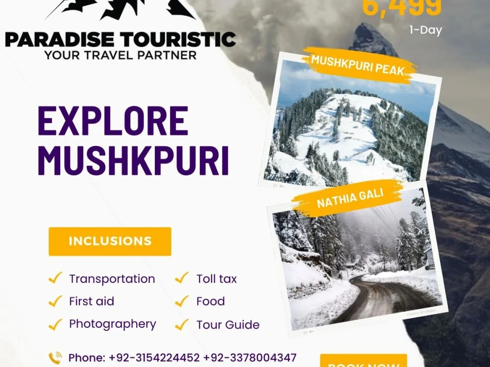 Appealing and engaging poster designs | Upwork