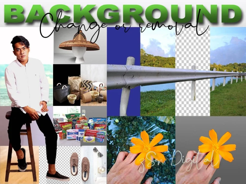 A high-quality background-less or background-changed photo. | Upwork