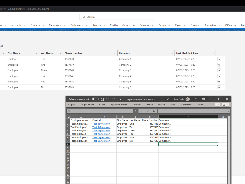 Cleanup and Load of records in Salesforce via API or spreadsheet | Upwork