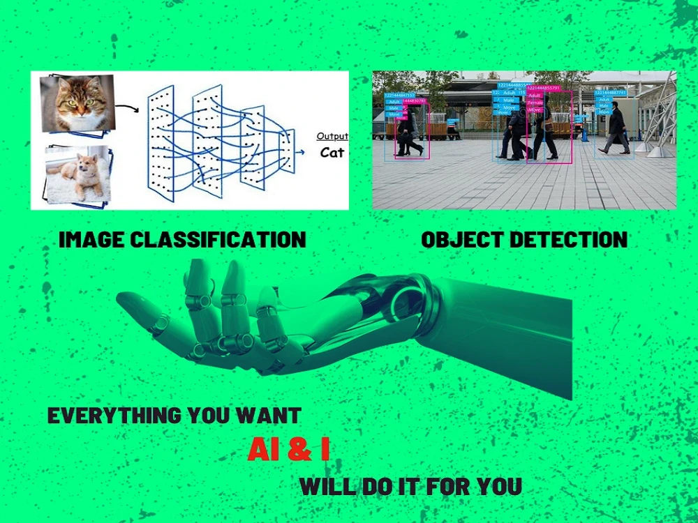 Object Detection Image Classification Project Solution Upwork