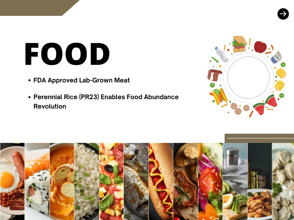 A modern and effective presentation design for your business | Upwork