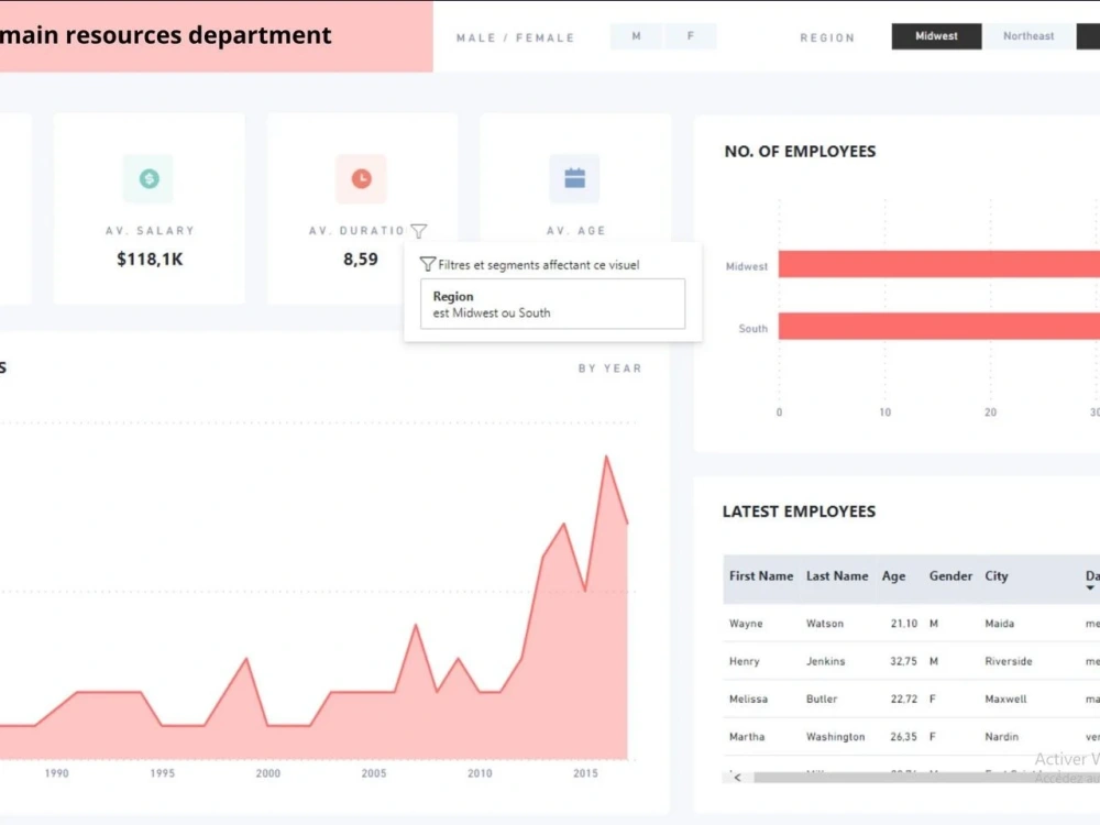 Professional Visually Appealing Dashboard For Your Business Upwork