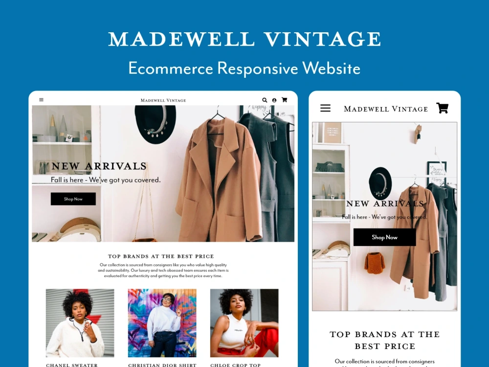 A Shopify Theme Setup or Redesign | Upwork