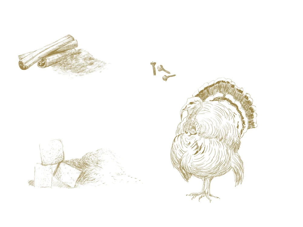 Fresh visuals in a few days with fast and concise communication. | Upwork