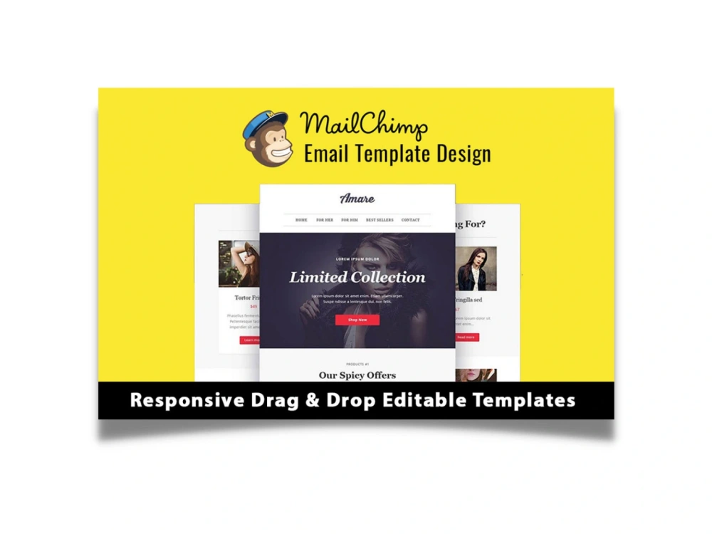 An Editable & Responsive MailChimp Templates | Campaigns | Newsletters ...