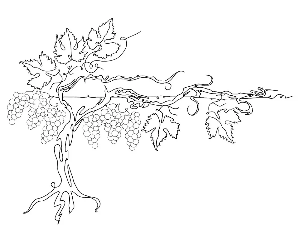 Realistic line art images | Upwork