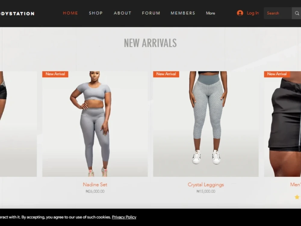 A well-designed, fixed and professional company website | Upwork