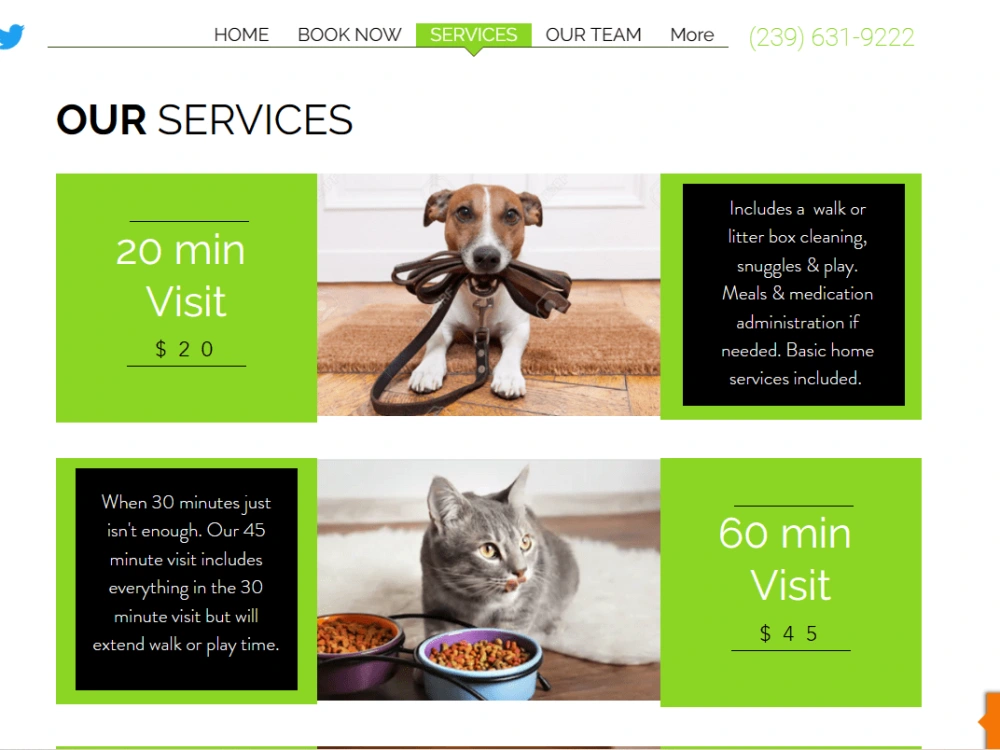 An inviting and interactive Wix website. Great starter package. | Upwork