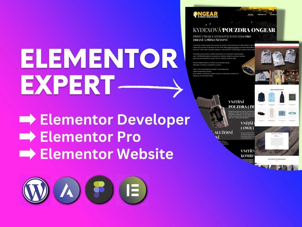 Elementor Expert | Elementor Developer | Elementor Pro | Elementor Website | Upwork