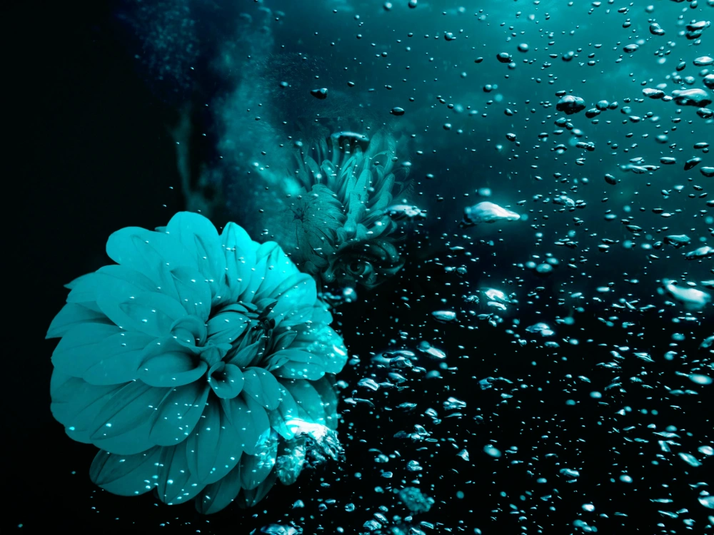 Enhancing Your Images with Double Exposure Overlays in Adobe Photoshop ...