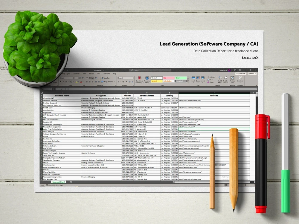 Leads from data entry & Web Research, Data entry in MS Excel, Manual ...
