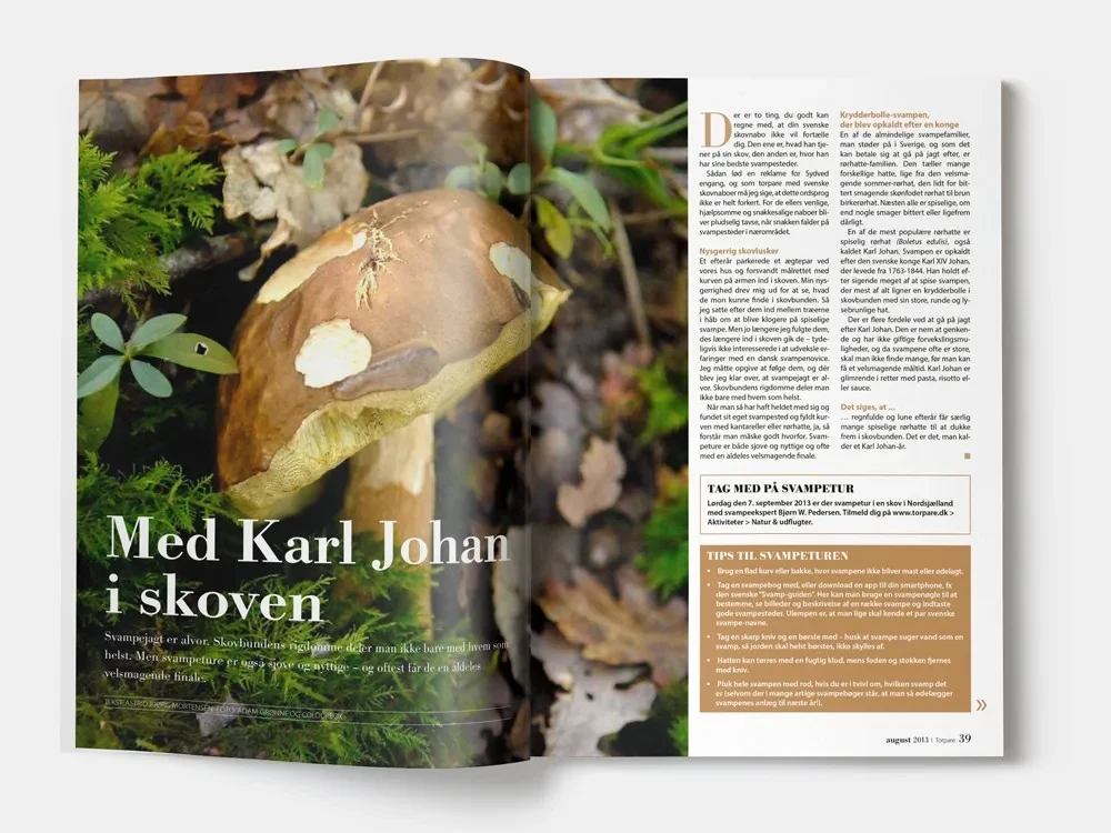 Awesome Magazine, Menu card, Ebook, Book formatting typesetting. | Upwork