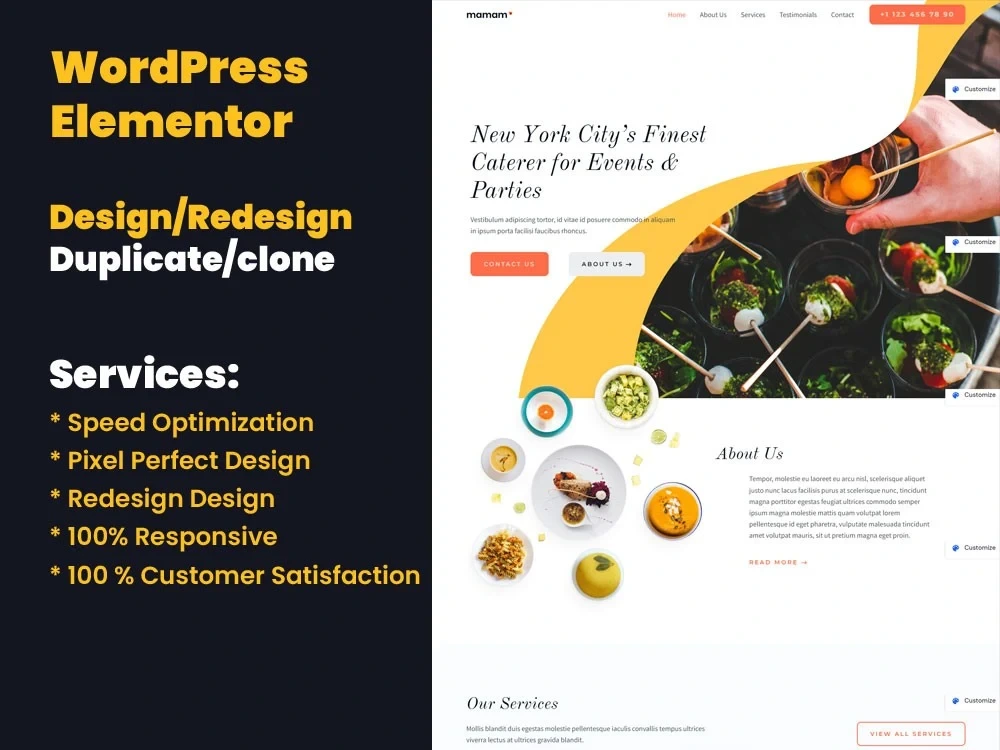Duplicate | clone | revamp | copy | redesign wordpress or elementor website | Upwork
