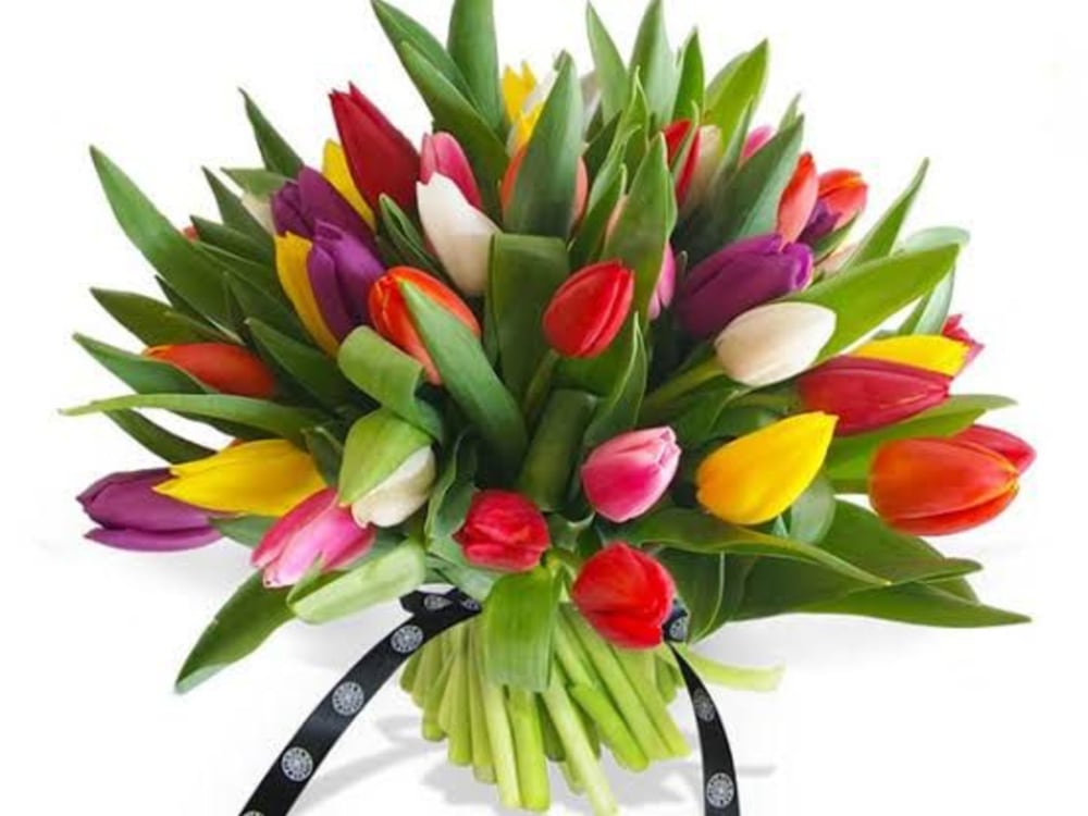 A fantastic deliverable ecommerce website | Upwork