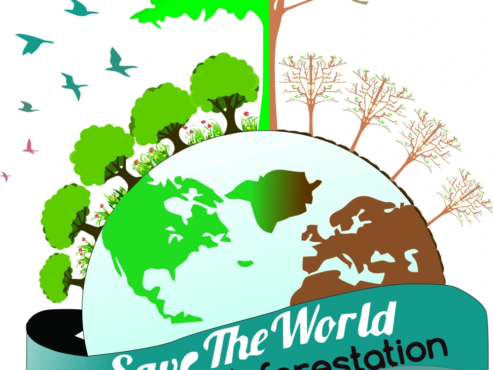 High quality vector illustrations | Upwork