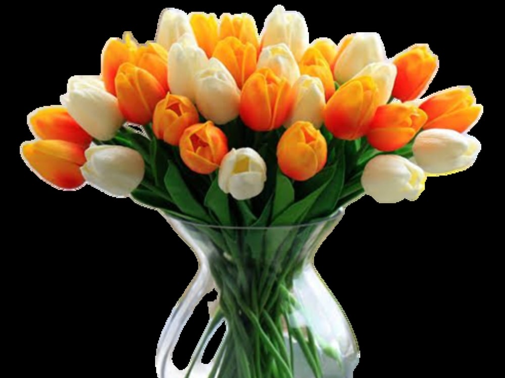 A fantastic deliverable ecommerce website | Upwork