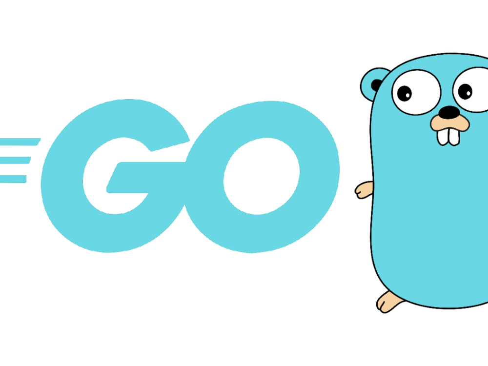 A GoLang developer with enterprise backend software development ...