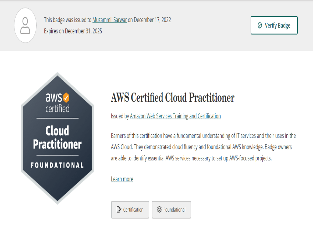 An expert DevOps, solutions architect, full stack developer, AWS guy ...