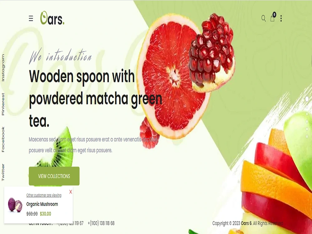 Responsive wordpress web expert using elementor pro | landing page designer | Upwork