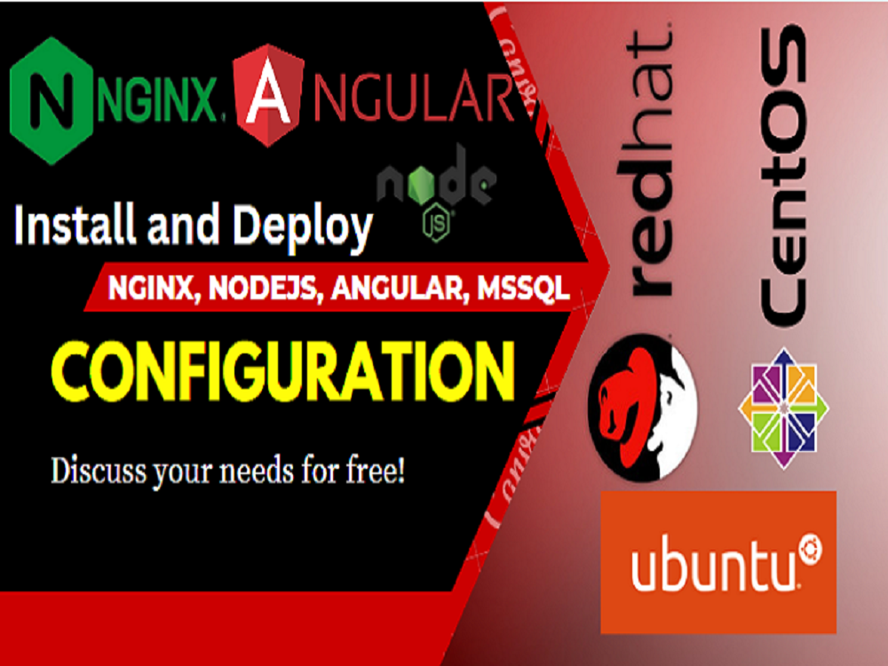 Install Configure Nginx Mysql Angular Node Js Aspnet Core Upwork 0024