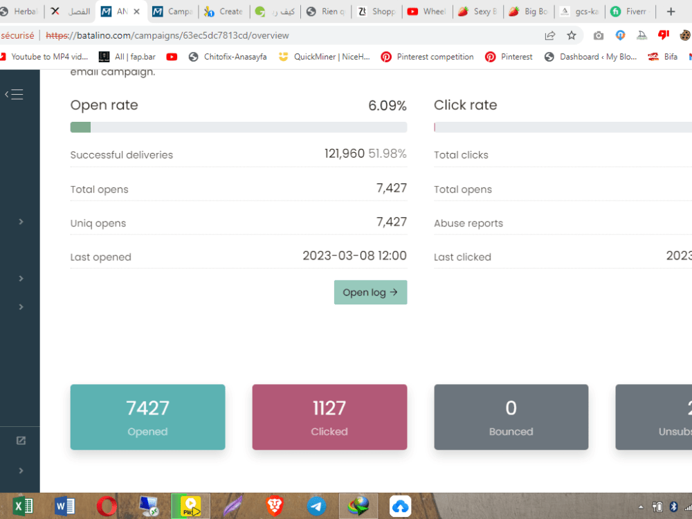 I will setup bulk email server,pmta v5 mailwizz or acelle mail | Upwork