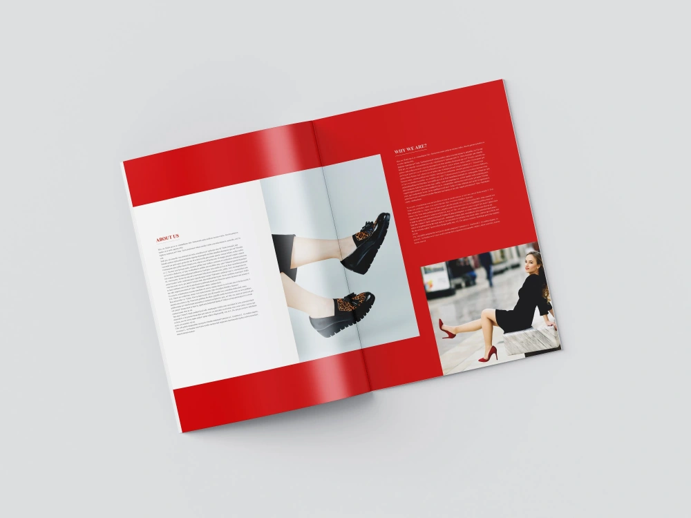 A Product Catalog, Booklet, Business Profile, Proposal , Annual Report ...