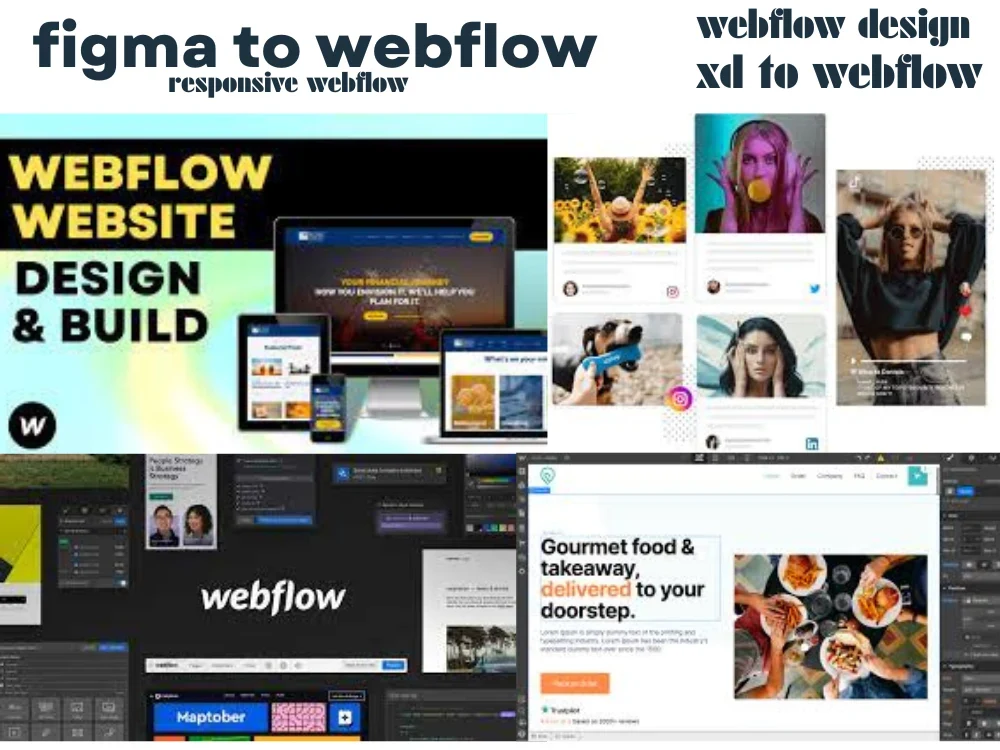 An expert Webflow developer to design A Webflow website | Figma to Webflow | Upwork